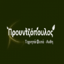 ΠΡΟΥΝΤΖΟΠΟΥΛΟΣ - ΕΙΔΗ ΔΙΑΚΟΣΜΗΣΗΣ ΤΕΧΝΗΤΑ ΑΝΘΗ ΦΥΤΑ ΑΘΗΝΑ