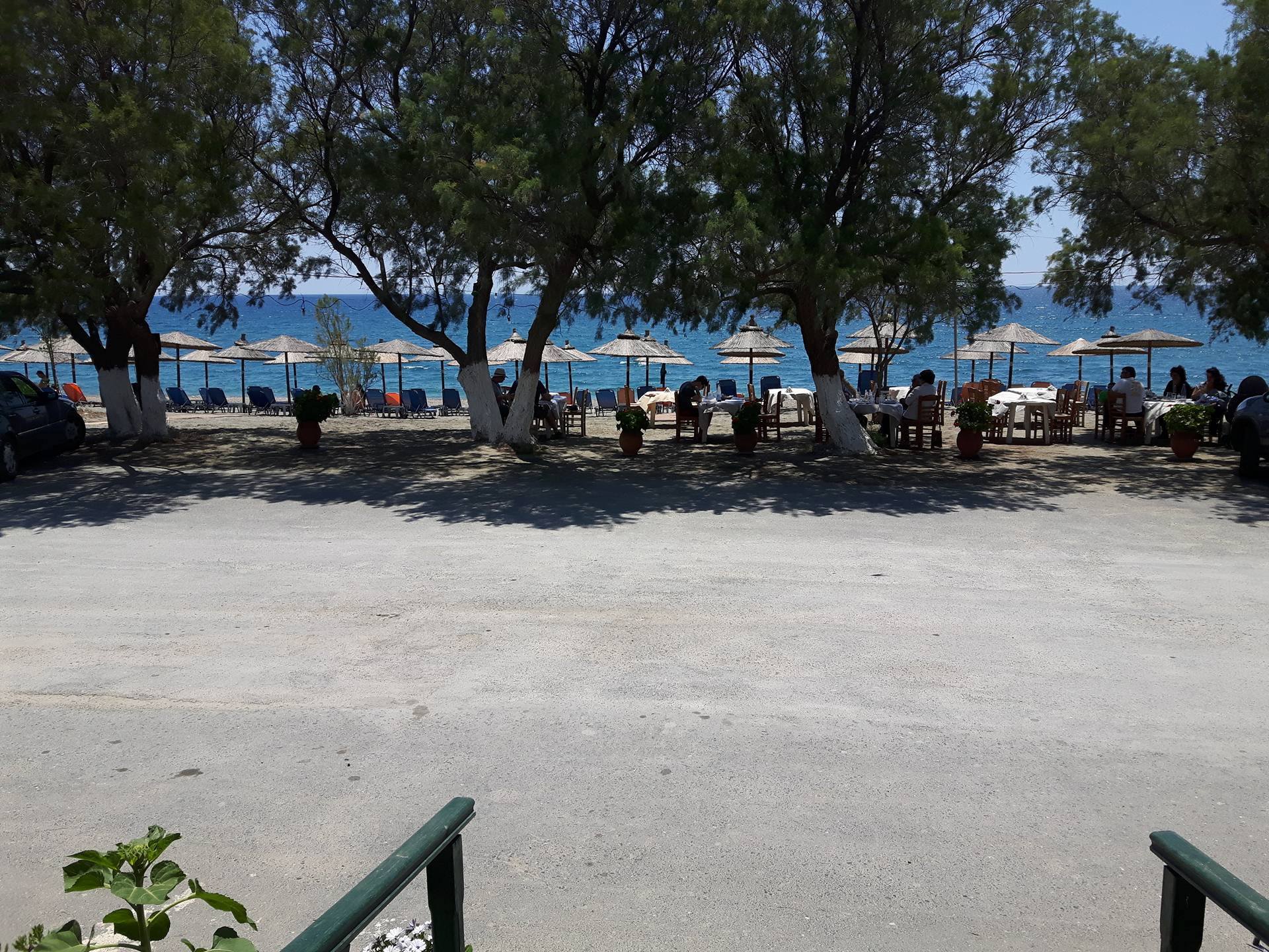 ΔΕΜΕΣΤΙΧΑ ΜΑΥΡΟΒΟΥΝΙ - ΔΕΜΕΣΤΙΧΑΣ ΣΩΤΗΡΙΟΣ