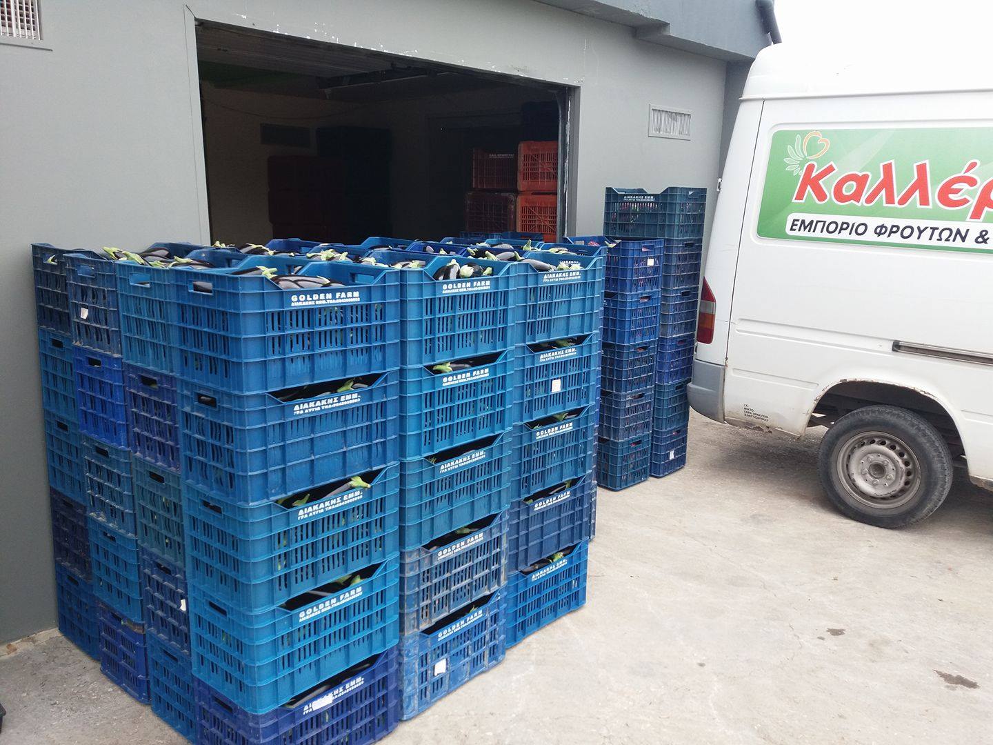 Καλλέργης Εμπορική - Εμπόριο φρούτων λαχανικών