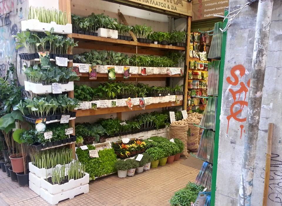 Γεωπονικό Κέντρο Παυλάτος - Είδη Καλλιέργειας Αθήνα