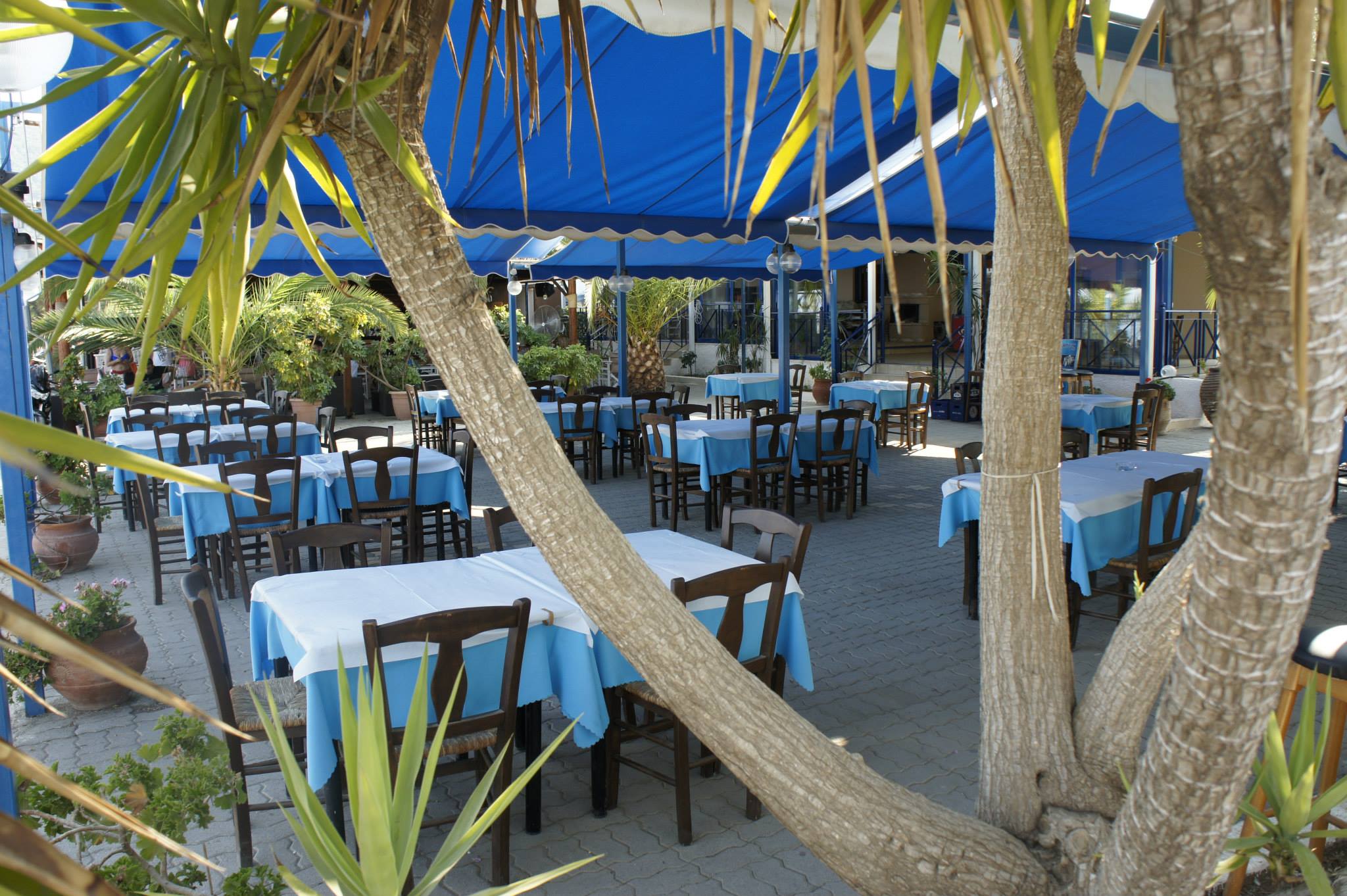 Ιππόκαμπος - Εστιατόριο Καφετέρια Café Bar Νέα Επίδαυρος