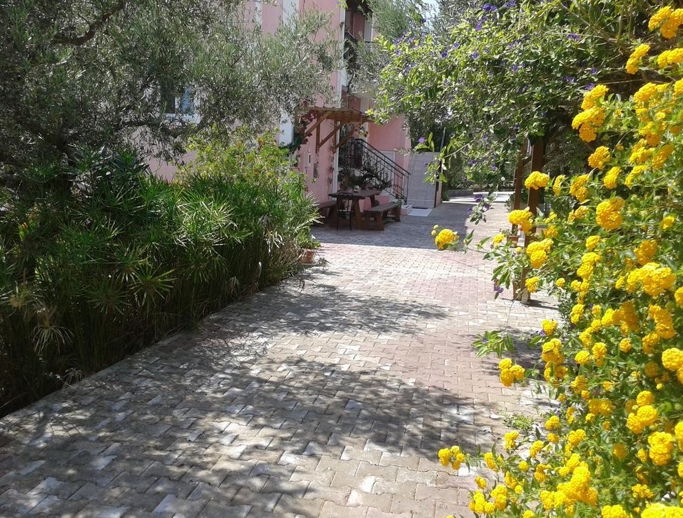 Elpida Studios - Ενοικιαζόμενα Δωμάτια Μουσάτα Κεφαλλονιά