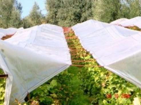 Terrapack - Υλικά Συσκευασίας Προϊόντων Εύβοια Πανελλαδικά