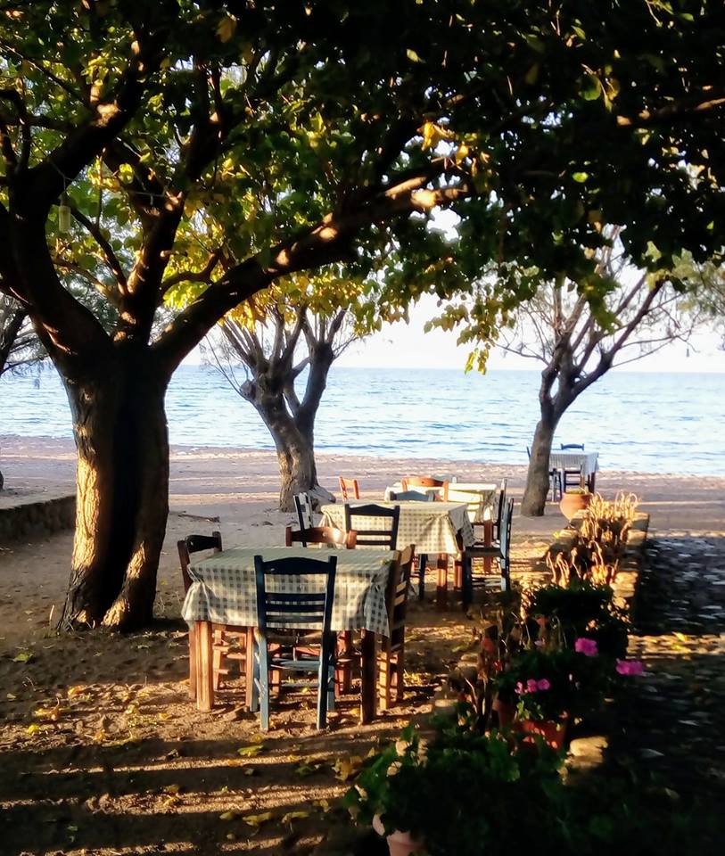 Η Κάγια - Εστιατόριο Ταβέρνα Σκάλα Συκαμιάς Συκαμινέα