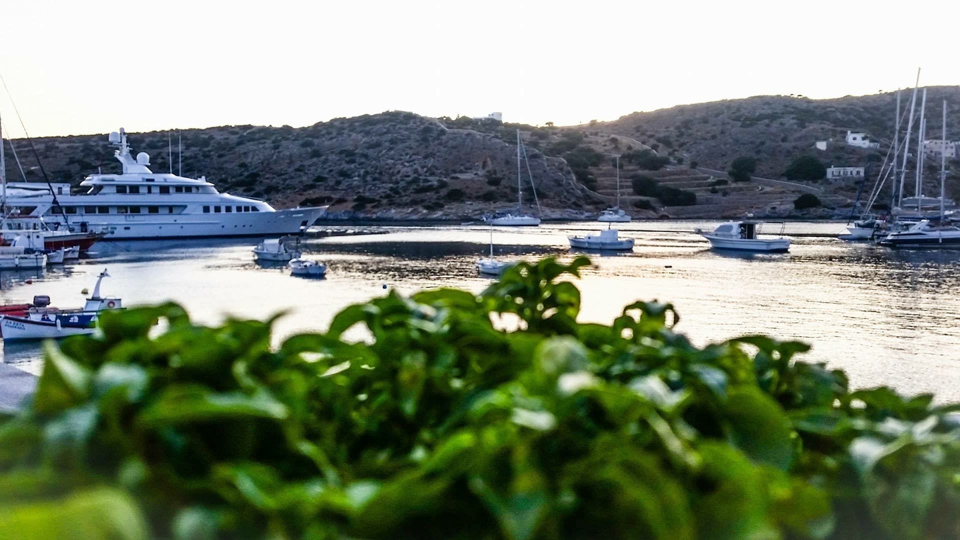 Ο Νικόλας - Εστιατόριο Σχοινούσα