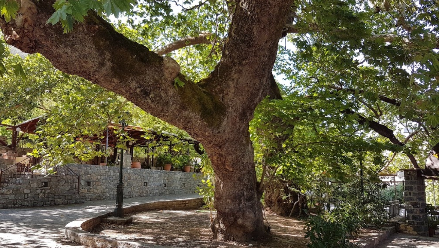 Κεφαλάρι - Εστιατόρια Άγιος Ιωάννης Σπάρτη