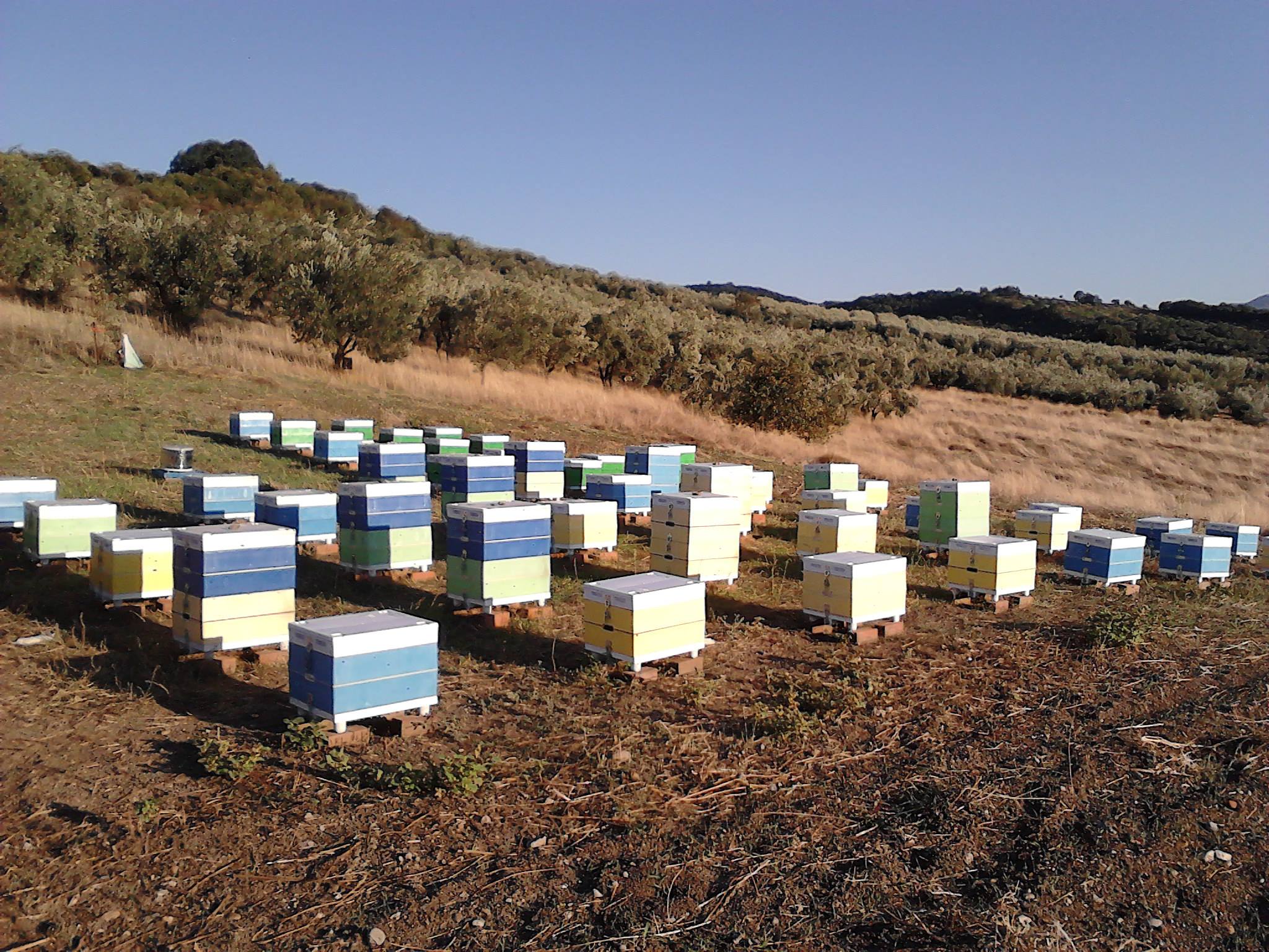 Technoset Bee - Μελισσοκομικά Προϊόντα Εξαρτήματα Αττική