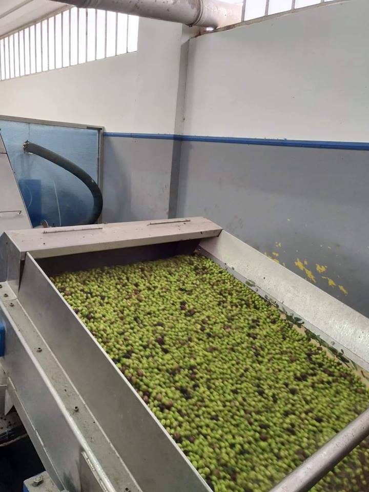 Ελαιοτριβείο Καλαϊτζάκης - Παραγωγή Ελαιολάδου Βουκολιές