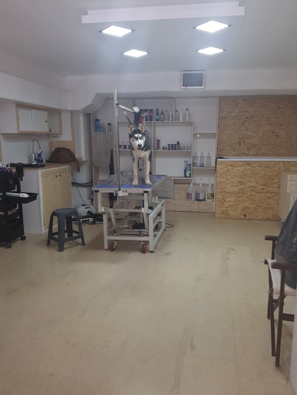 Shop For Pets Addict - Pet Shop Τροφές Αξεσουάρ Άνω Ηλιούπολη