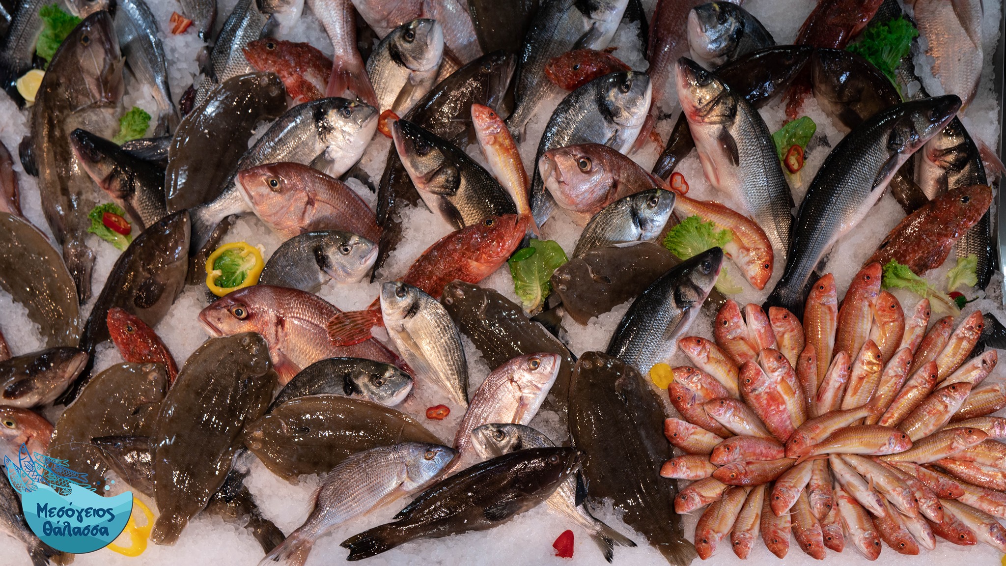 Ιχθυοπωλείο Μεσόγειος Θάλασσα - Φρέσκα & Ψητά Ψάρια Χολαργός