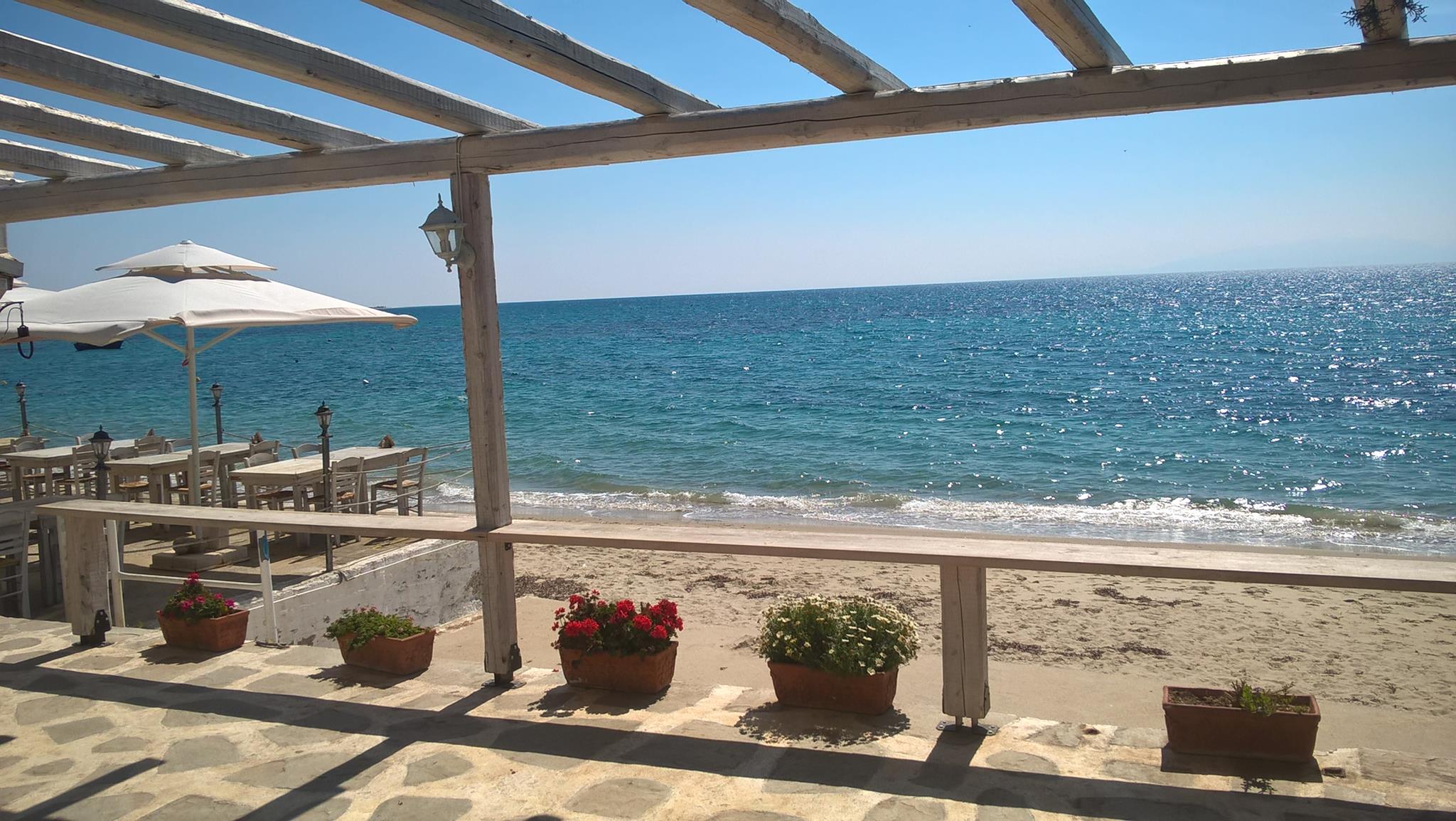 Ταβέρνα Άθως - Φρέσκα Ψάρια Θαλασσινά Νέα Ηράκλεια