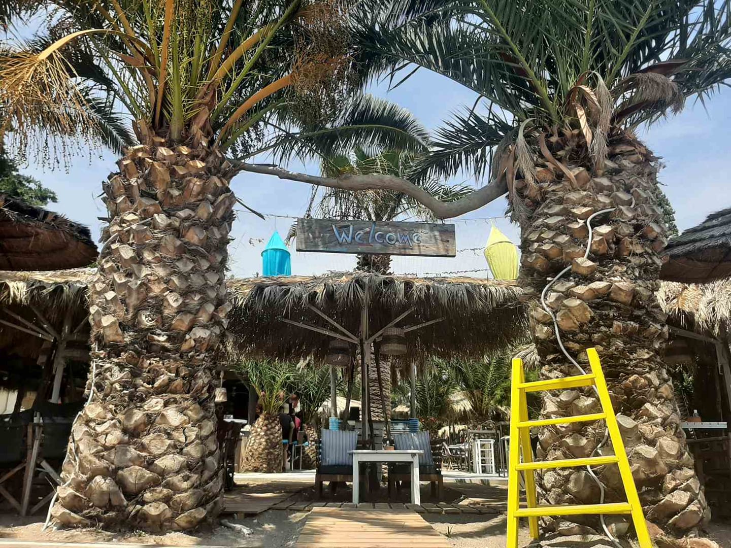 Bolla Beach Bar - Φαγητό Καφές Ποτό Θορικό
