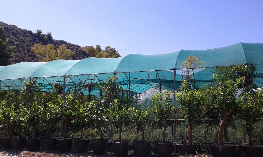 Φυτώριο Αναστασόπουλος - Εμπόριο Φυτών Κορινθία