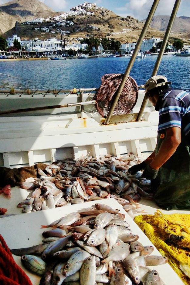 Ψαροταβέρνα Takis - Μαγειρευτά Θαλασσινά Λιβάδι Σέριφος