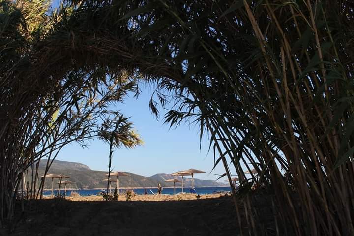 Horizon Beach Bar Finikounda