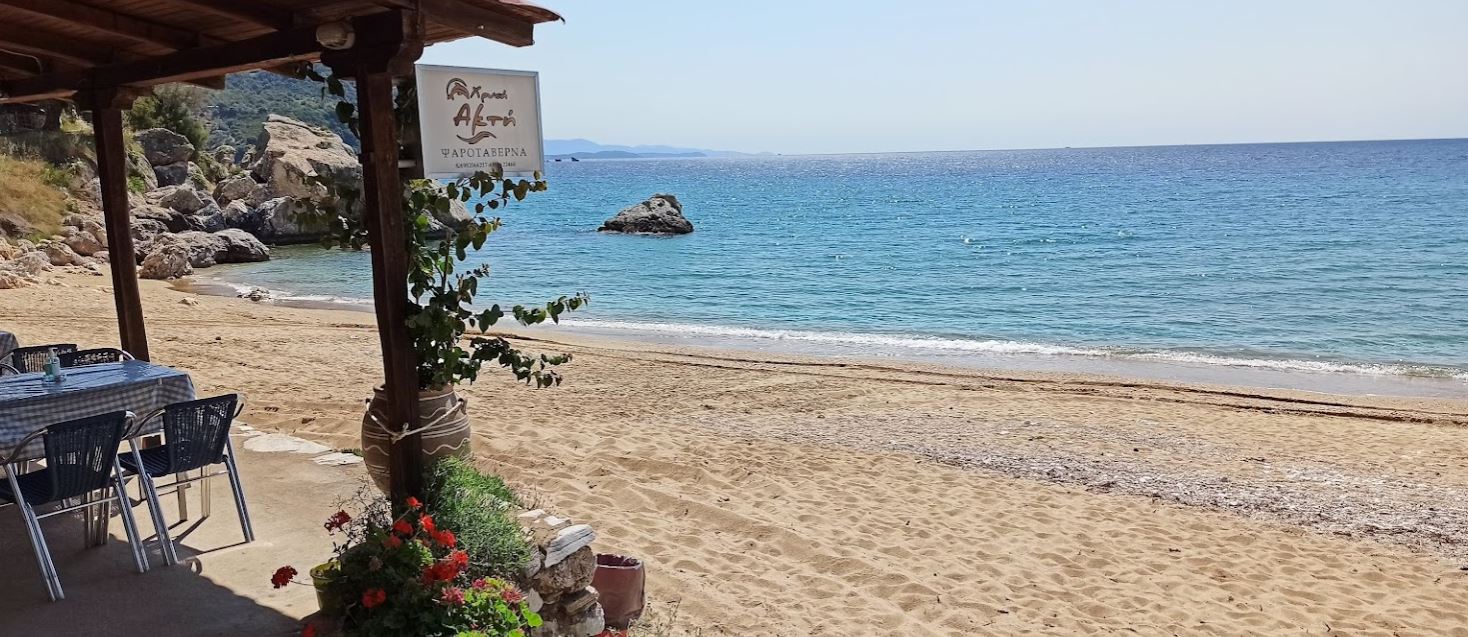 Πλάτανος - Εστιατόριο Θαλασσινών Μικρό Μαγνησίας