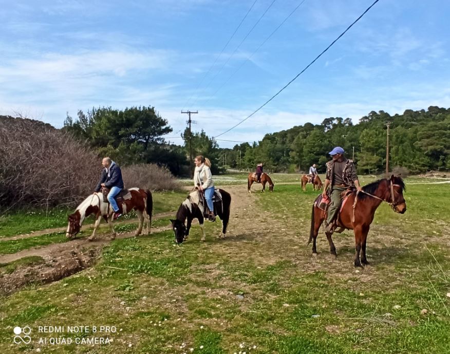 Apaloosa Horse Riding Club - Περιηγήσεις Με Άλογο Σκύρος