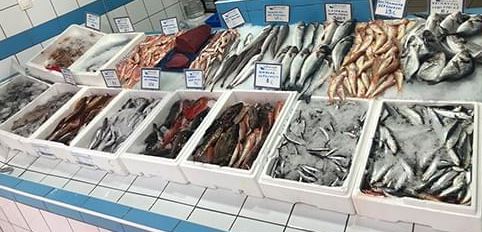 Local Fish Experts - Εμπόριο Ψαριών Θαλασσινών Μάλια Χερσόνησος
