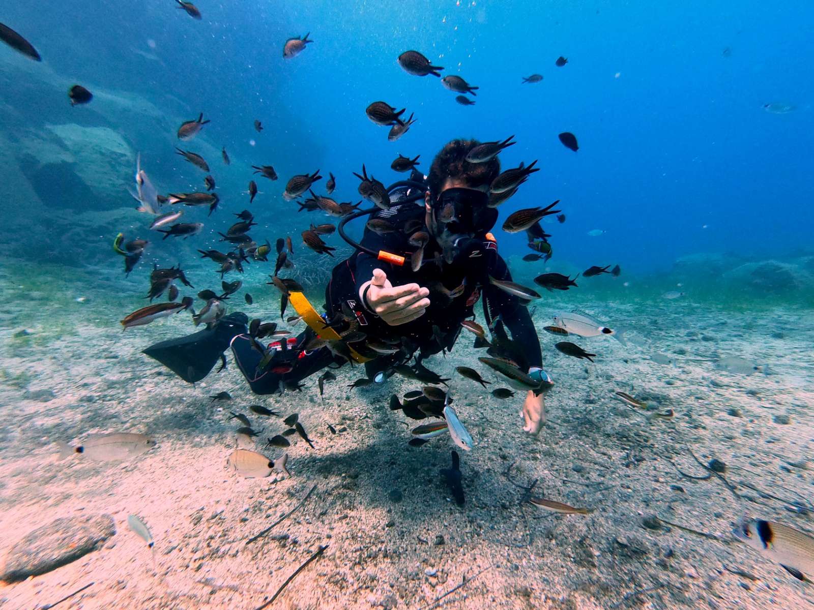 Scuba Academy - Scuba Diving School Santorini