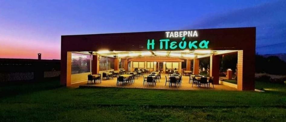 Πεύκα Ταβέρνα Ψησταριά - Φαγητό Κρεατικά Αρχαία Ολυμπία