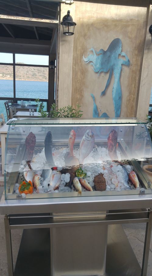 Gorgona Restaurant - Εστιατόριο Θαλασσινών Πλάκα Ελούντας