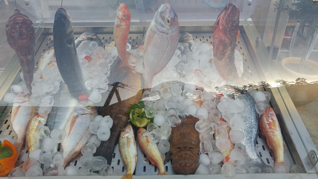 Gorgona Restaurant - Εστιατόριο Θαλασσινών Πλάκα Ελούντας