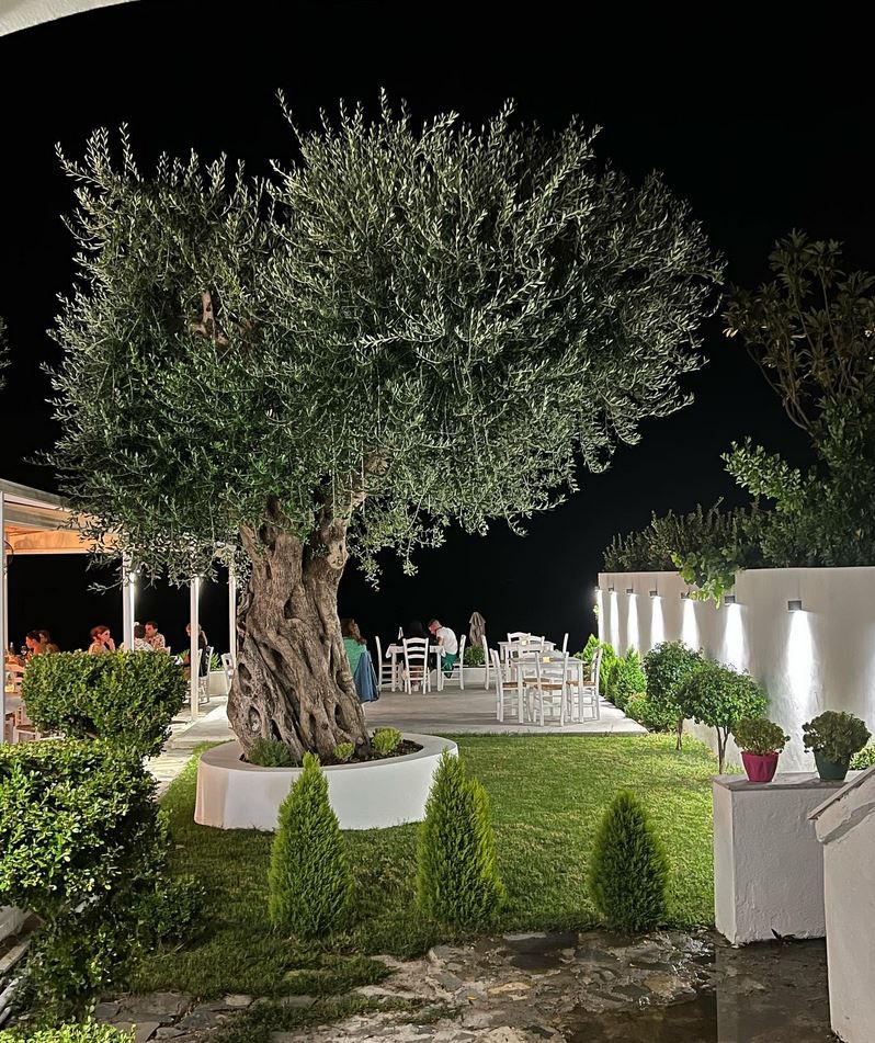 Marea Restaurant Cocktail Bar - Food Cocktails Pyrgi Corfu