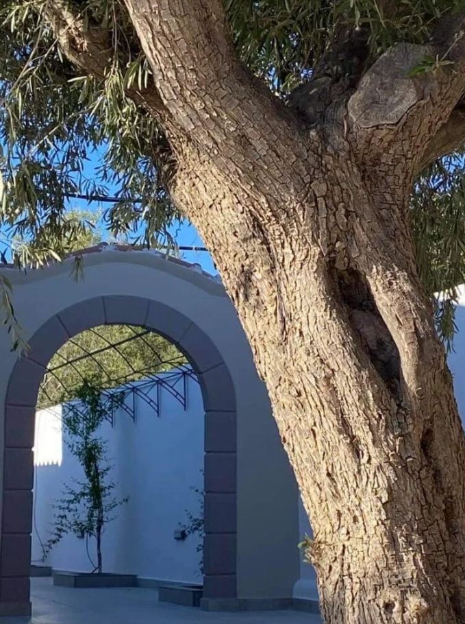 Villa Sophy - Πολυτελής Βίλα Διακοπών Βάρη