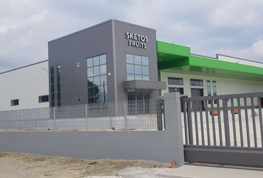 Sketos Fruits - Ακτινίδια Πυργετού Εμπόριο Ακτινίδιων Λάρισα