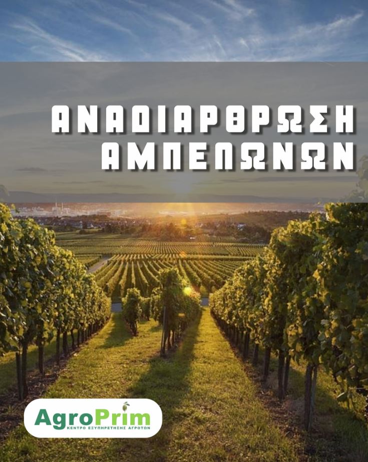 Agroprim ΚΥΔ - Αγροτικές Επιδοτήσεις ΟΣΔΕ Ηράκλειο Καστέλλι